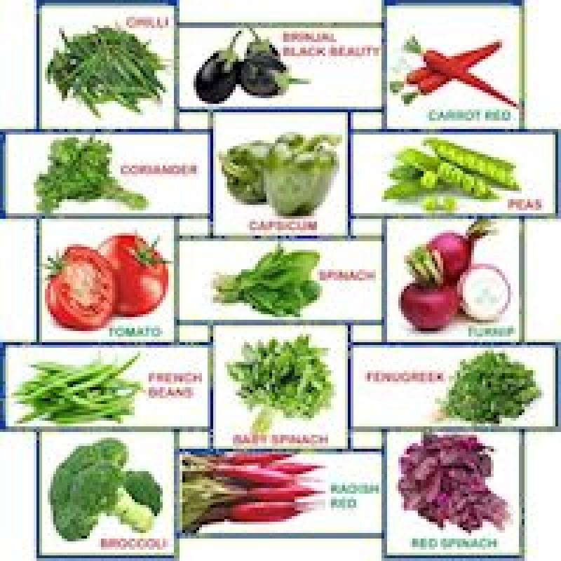 Designing Vegetable Garden Plans and Goals : Home Owners Guide to DIY ...